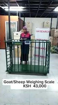 Goat & Sheep Weighing Scale