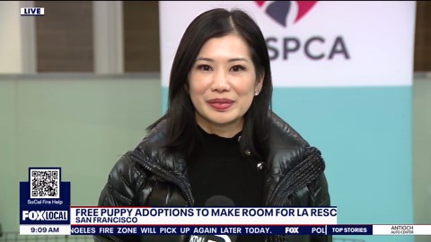 San Francisco SPCA provides relief for LA shelters, waives all puppy adoption fees