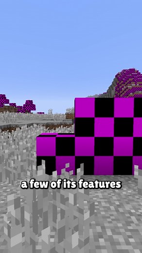 Minecraft 2.0 Update Features & Fun Facts