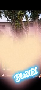 9.7K views · 119 reactions | AWW...CHOSEN HAS A PLAYDATE WITH THE KIDS THOUGHTS ⬇️ #memequeen #memester #reportinglive #commentary #facebookreels #stars #LikeShareFollow #blastedtv #round2 | BLASTED | Facebook