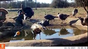 25K views · 147 reactions | If you have ever struggled to understand...