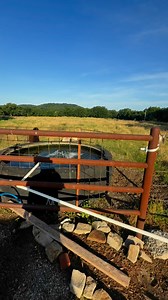 162K views · 5.2K reactions | Alpaca Sprinklers 蓮#summer #alpacas #hot #farmlife #WalkerFarmFam #Farming | Walker Farm Fam | Facebook