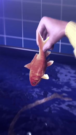 Goldfish Survives 7 Years in Filtration Tank