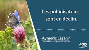 Profitez des conseils d'un paysagiste, enseignant en écologie, pour créer et sauvegarder les milieux naturels indispensables aux insectes pollinisateurs. Nous pouvons tous agir https://fr.ulule.com/zonedebzzz-saison4/ | Agir Pour l'Environnement