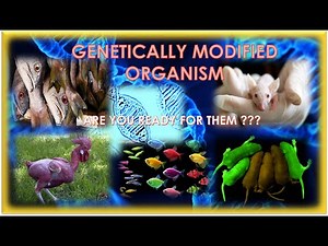 GENETICALLY MODIFIED ANIMALS: Weird but real