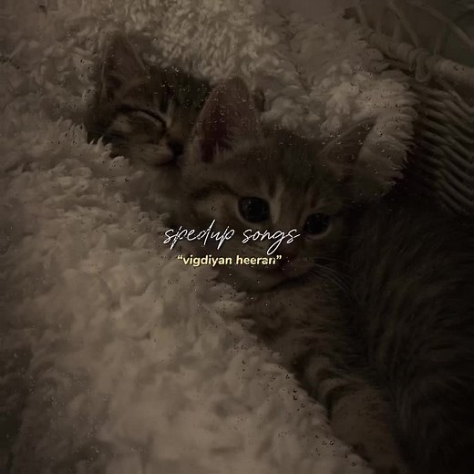 Exciting Speed Songs Compilation