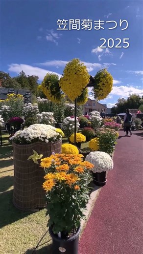 菊が街を彩る笠間：歴史散策と展示を楽しむWhere History Meets Autumn: Chrysanthemum Walk in Kasama short#9