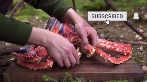 Forest Adventure: Grilling My First King Crab ASMR