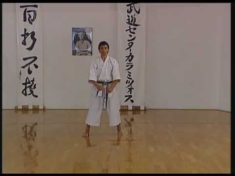 Bassai Sho - Efthimios Karamitsos - Karate - Kata - Shotokan