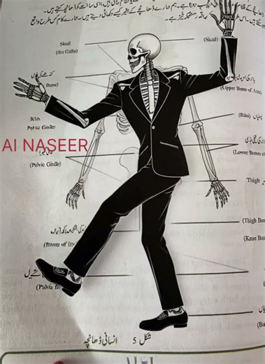 AI & Science Wonders: Turning Lessons Into Animation AI Transforming Science Lessons Into Animation