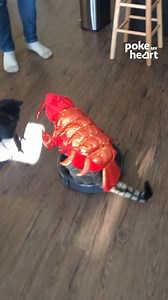 She's getting an #Uber ride to the #Halloween #Party! | Poke My Heart