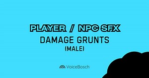 Damage Sounds (Male) - NPC/Player Audio Pack | Voices Sound FX | Unity Asset Store