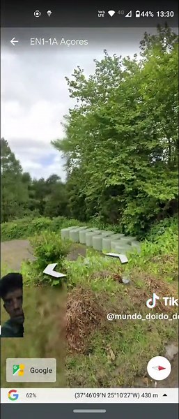 Os vídeos de Mundo Doido (@mundo_doido_demais) com Cena Engraçada e Inusitada - HarmonicoHCO