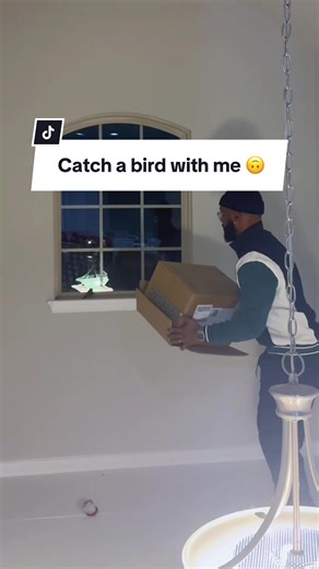Bird Box 2. In theatres now. 😂 #birdman #thehenrys #animalkingdom #animalcontrol