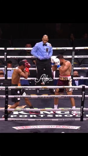 "The way he cuts off the ring is a masterclass in boxing IQ." #boxing "Combos for days. That shot selection is elite." #boxingmatch #Sports #fypシ゚ #fbreels #knockout #follower | Benjely B. Albaracin