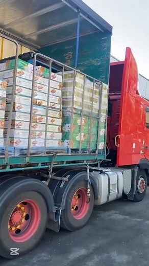 29 reactions · 42 comments | 殺Safenet Nooh Products 殺 منتجات سفينة نوح  | Safenet Nooh | Facebook