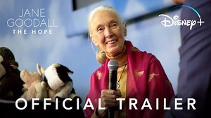 Be inspired by Jane Goodall's conservation mission with the premiere of Jane Goodall: The Hope, streaming now on #DisneyPlus. #JaneTheHope | Disney