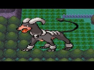 How to find Houndoom in Pokemon Pearl