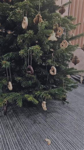 #OIXIO Kalėdų tradicija. 🎄 Jau ne vienerius metus OIXIO eglučių puošimas neįsivaizduojamas be pačių mažiausiųjų. Ir šiemet OIXIO vaikai sugrįžo į kūrybinį šurmulį su piešiniais, spalvomis ir nuoširdžiomis šypsenomis. Ačiū mažiesiems kūrėjams ir dalinamės jų kūryba! 🎨 | OIXIO Lithuania