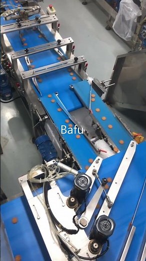 Bafu FWC350: High-Speed Flow-Pack Machine with In-Line Feeder