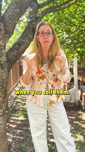 2.8K views · 77 reactions | Peaceful walks and stress-free playtime start with the Dog Calming Code.  Link in BIo @wedogtrainer . . . . . . . . . DM For Credit Or Removal . #doghandling #igpdog #DogTraining #ReactiveDog #DogBehavior #DogHealth #TeenagedDog#DogTraining #DogTrainingTips #DogTrainingAdvice #ReactivityTrainingTips #labrador #acergundogs #gundogtrainingonline | We Dog Trainer | Facebook