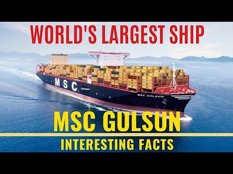 World's Largest Container Ship #Largestship #biggestship #MSCgulsun