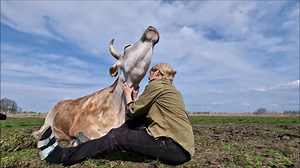 12K views · 1.9K reactions | Das heutige Kuschelvideo mit Ole hat...