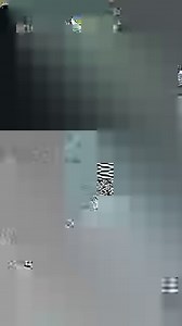 2.5K views · 37 reactions | ISSB- Physcial Ability Test 3rd Day Activity . . . . . . . . . . . . . . . . . . . . . . . ISSB COACHING #army #navy #airforce #ISSB #military #explore #explorepage | Green Defence Academy | Facebook