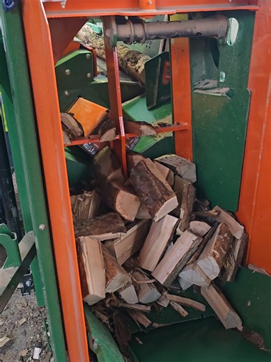 Posch 376 Wood Cutting Ahead of Christmas