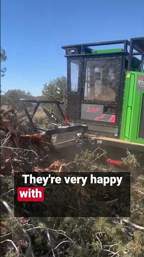 Gyro-Trac GT-200: Your Solution to Tackling Tough Wood