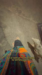 1M views · 10K reactions | I found a soulmate in him. 凉 Just when I thought it was just a normal day for me, I met someone who taught me something about life without saying a word. Thank you for the wonderful time, Yeye. 﫶 #straydog | Benedix Ramos | Facebook