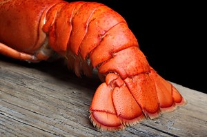 What does it mean if a lobster tail is mushy? [2025] | QAQooking.wiki