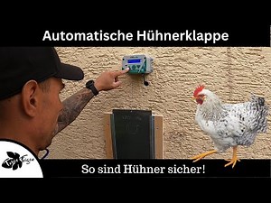 Install an automatic chicken door | This way your chickens are safe from foxes and other predators