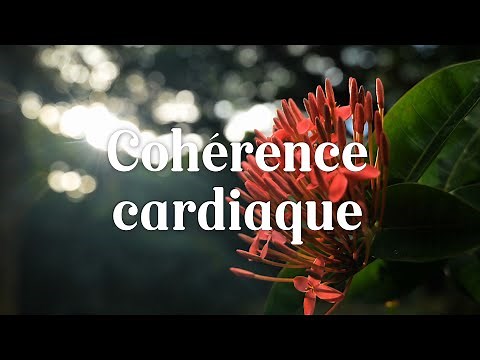 5 MINUTES DE COHÉRENCE CARDIAQUE