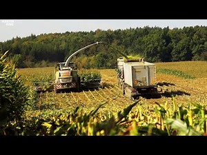 Silage XXL 2014 - CLAAS Jaguar 980 | TATRA Phoenix AgroTruck