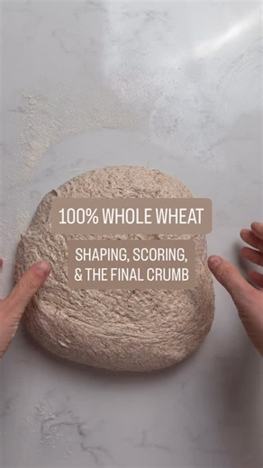 Andra Stefanescu on Instagram: "In love with how this 100%* whole wheat loaf turned out🌾 A new day, a new flour to explore—because why not? I’m here to experiment so I can provide the best insights to this lovely community. This time, I’m working with the Extra Strong Wholewheat from @mungoswells The Formula: * 500g Extra Strong Wholewheat * 470g Water (Yes, you read that right—94% hydration!) * 110g Starter (A little extra to help with the winter chill) * 10g Salt The Process: 1. Autolyse: I s