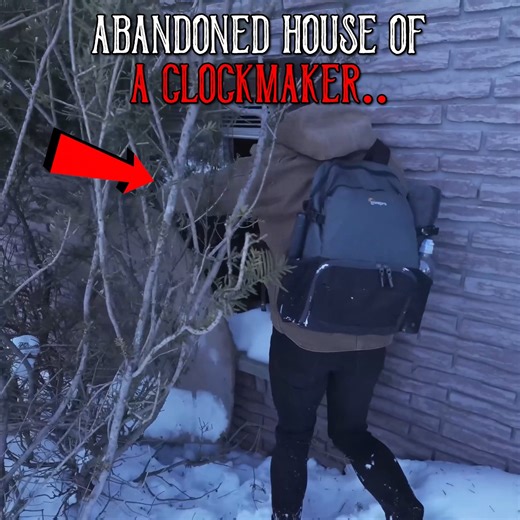 What Happend Here? 🧐 | Bros of Decay