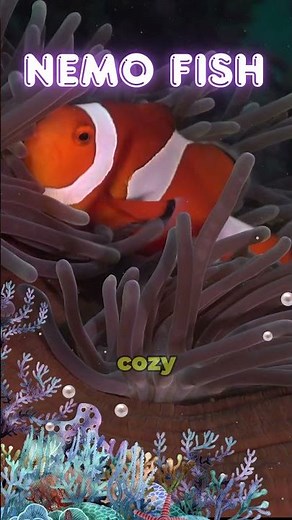 Meet the Nemo Fish! 😲 Colors for Kids