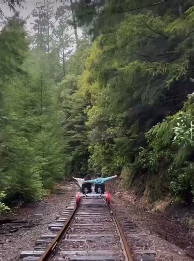 3.5K views · 216 reactions | POV you finally book the railbike trip you've always wanted to try and have the most magical experience riding through Mendocino's gorgeous redwood forest! With two of our trips as 7-mile adventures and another as 25, you have great options to choose from! Don't worry about the distance, the bikes can be powered electrically! Beautiful video from @its.adventure.tim on Instagram!! #railbikes #explorecalifornia #northerncalifornia | Skunk Train | Facebook