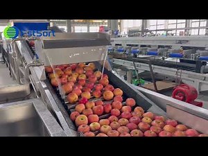 Commercial Apple Farm Processing Factory,Fruit Optical Sorting Grading Line, Apple Sorter Machine
