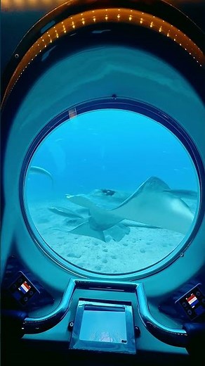 What Can You See from a Submarine’s Window????
