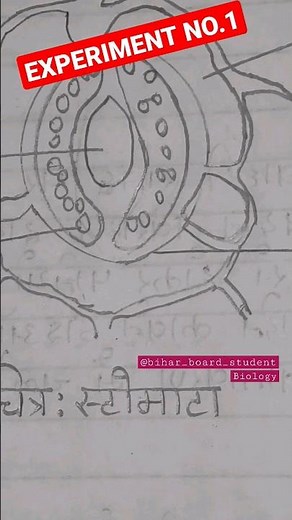 BIOLOGY EXPERIMENT NO.1 CLASS 10|| CLASS 10 SCIENCE PRACTICAL COPY 2023|| #short #class10 #science
