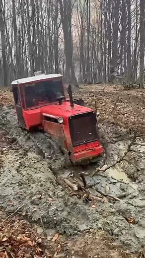 Tractor Stuck In Swamp | Giant Machine