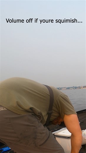 126K views · 868 reactions | Salmon fishing Fail… dislocated shoulder while bleeding fish out #fishingfail #salmonfishing #salmon #fishinglife #fishing #facebookreels #reelsviralシfb #fishingfails #fails #failvideos | SBS Outdoors | Facebook