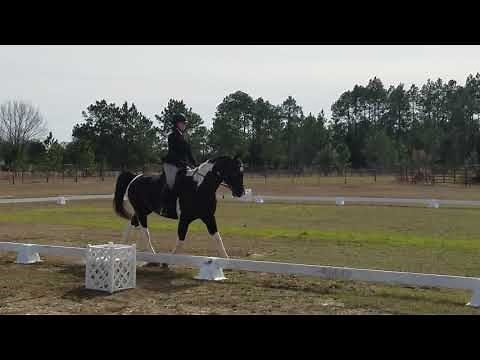 Intro Test C 1/26/2019