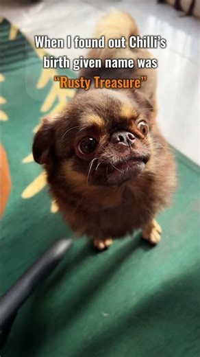 Honestly, “Rusty Treasure” is giving vintage moustache cinema