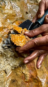 Real gold chunks emerge from solid rocks — One of the rarest natural discoveries 😱✨" #VeinGold #Natural Gold #Real Gold #GoldIndiscory #RareDiscory #Geology #Wonders of Nature #GoldInBatu #HarunEarth #ViralDiscovery | Ihsan Gold Hunter