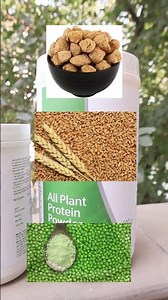 Modicare Plant Protein Benefits | Asheesh Bajaj