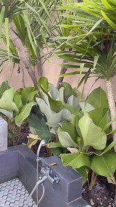 Mini pool - warm water 懶 | The Millennial Filipina | Facebook