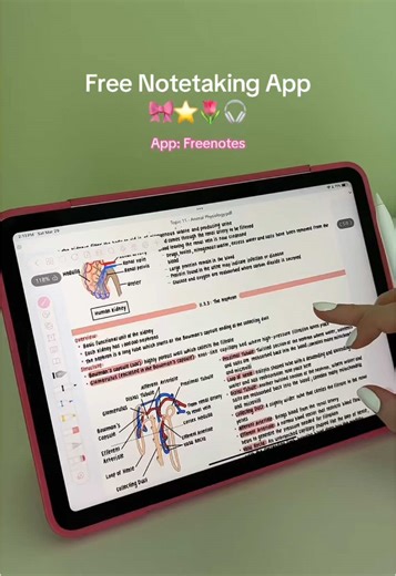 My new favourite notetaking app 🎧🌷📚 @Freenotes #ipadnotes #studying #freenotes #finals #exams #studytok #relatable #grwm #university